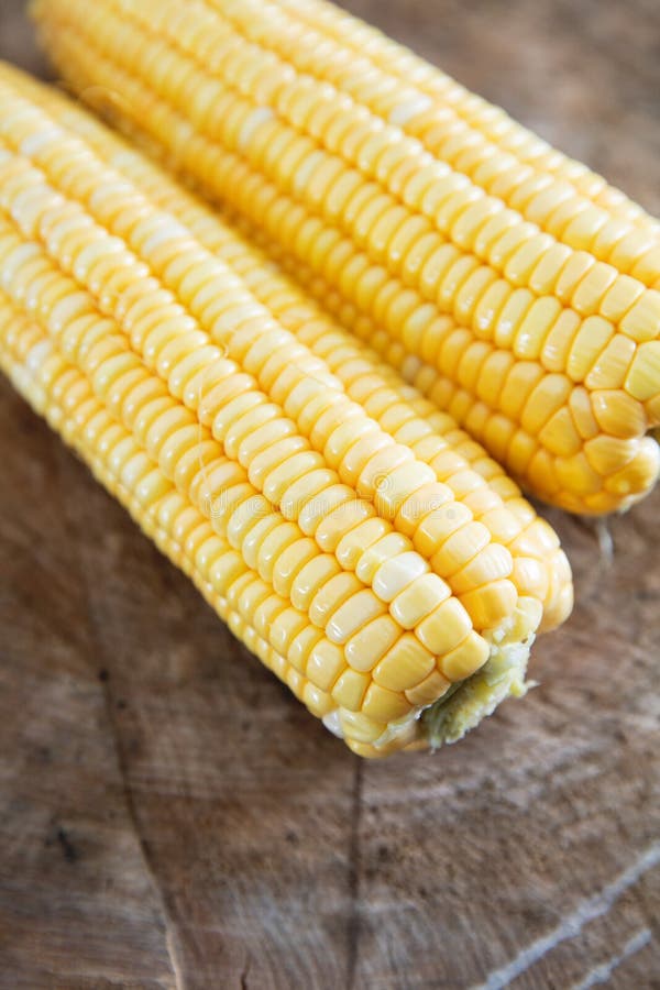 Two Stripped Tender Corn Cobs Stock Image - Image of staple, life ...