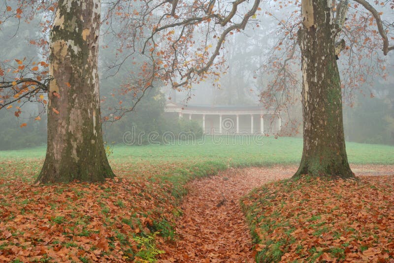 Two Strong Plane Trees and Footpath Stock Image - Image of branch ...