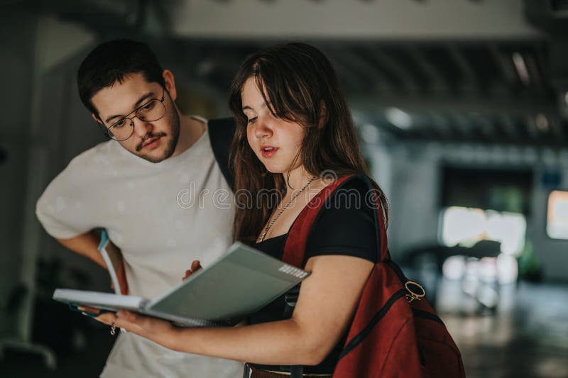 Two Students are Engaged in a Focused Discussion, Reviewing Notes ...
