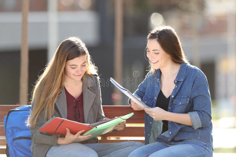 Two Students Studying Reading Notes in a Park Stock Photo - Image of ...