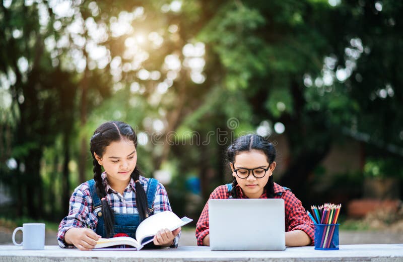 Two Students Studying Together Online with a Laptop Stock Image - Image ...