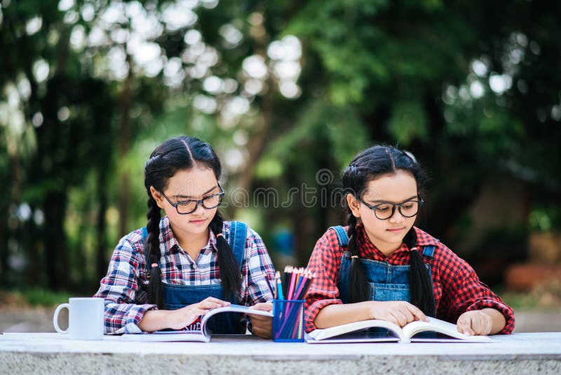 Two Students Studying Together Online with a Laptop Stock Image - Image ...