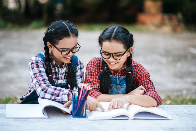 Two Students Studying Together Online with a Laptop Stock Image - Image ...