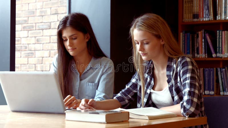 Two Students Working on a Laptop Stock Video - Video of female, smart ...