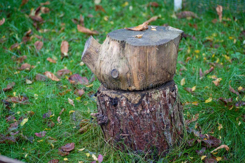 Two Stumps Stacked on Top of Each Other Stock Image - Image of forrest ...
