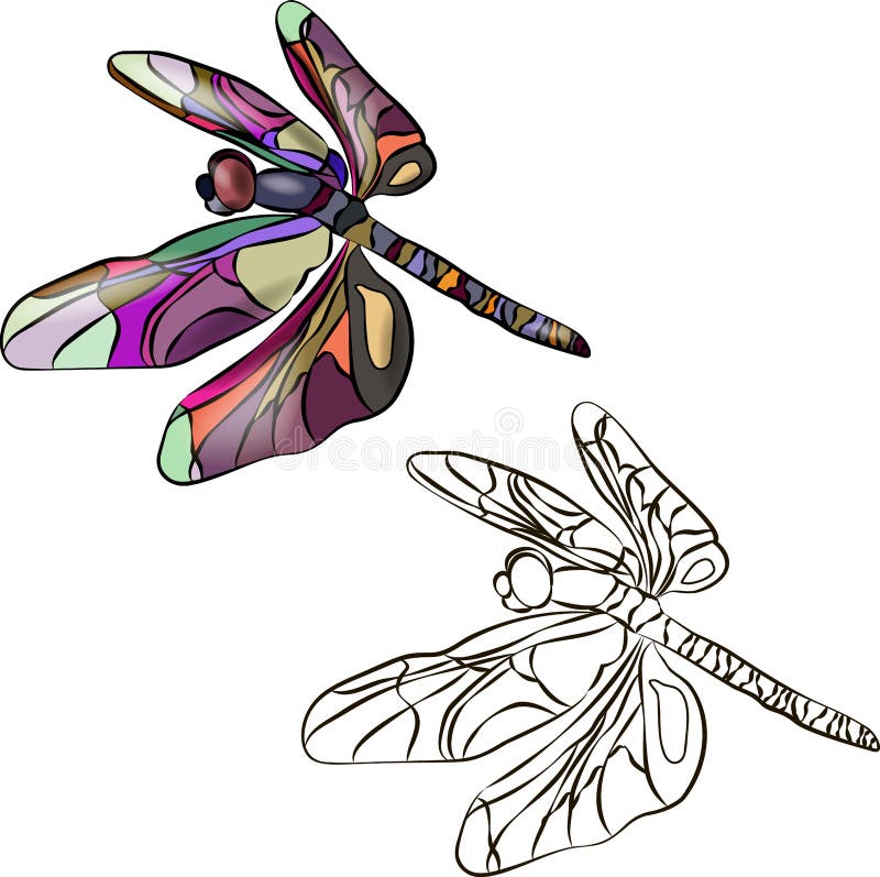 Dragonflies Two Stock Illustrations – 120 Dragonflies Two Stock ...
