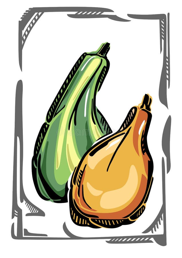 Two Stylized Vector Gourds, Green and Orange. Stock Vector ...