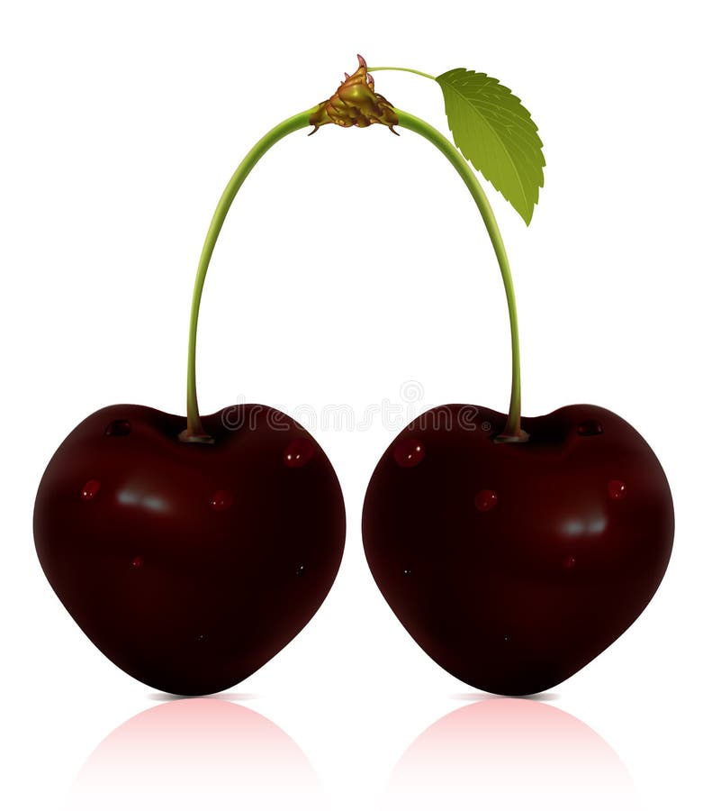 Black Cherry Clip Art