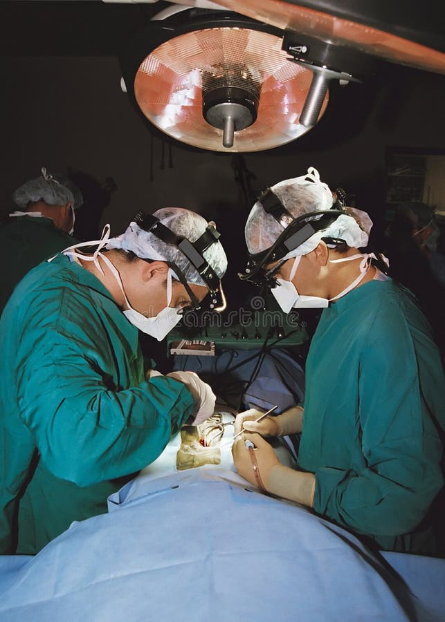 Two surgeons operating stock photo. Image of scrubs, operating - 1143476