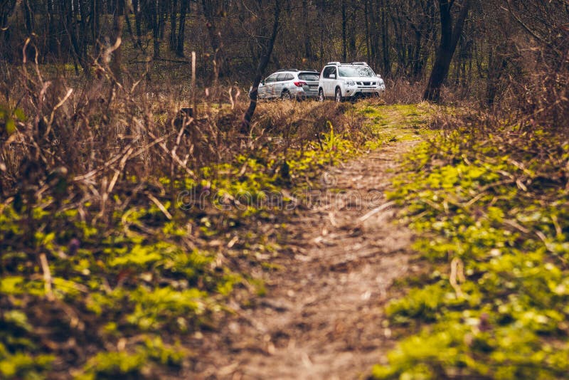 Two Suv Car in Forest. Foot Path Stock Photo - Image of transport ...