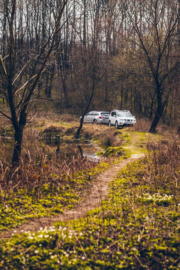 Two Suv Car in Forest. Foot Path Stock Photo - Image of nature ...