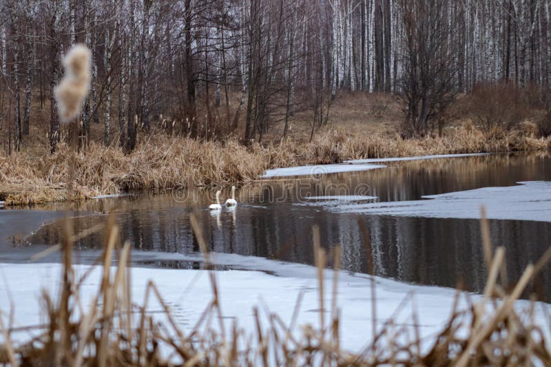 Spring Ice Drift on the River Stock Image - Image of frost, island ...