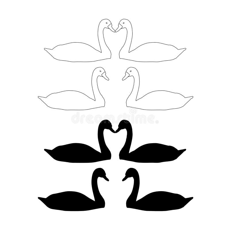 Two Swans. Vector Illustration on White Background. Stock Vector ...