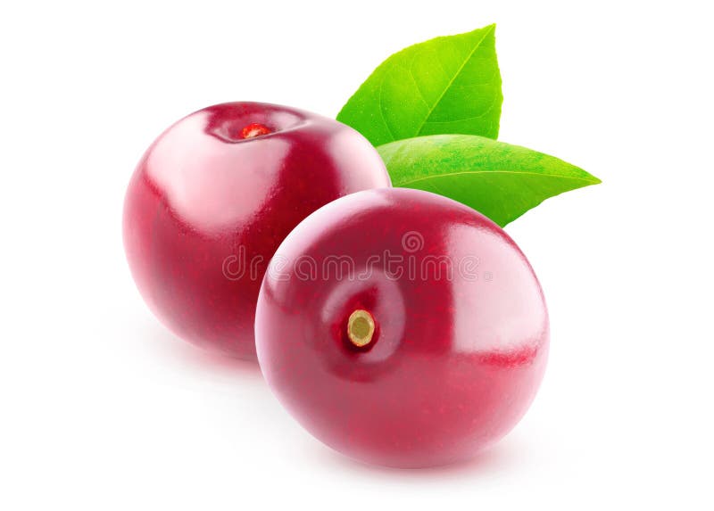 Anna Kucherova (Photomaru) - Photographer profile