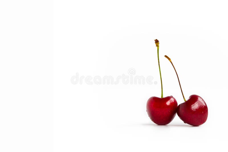 Two Sweet Ripe Black Cherries Angles on White Background Stock Image ...