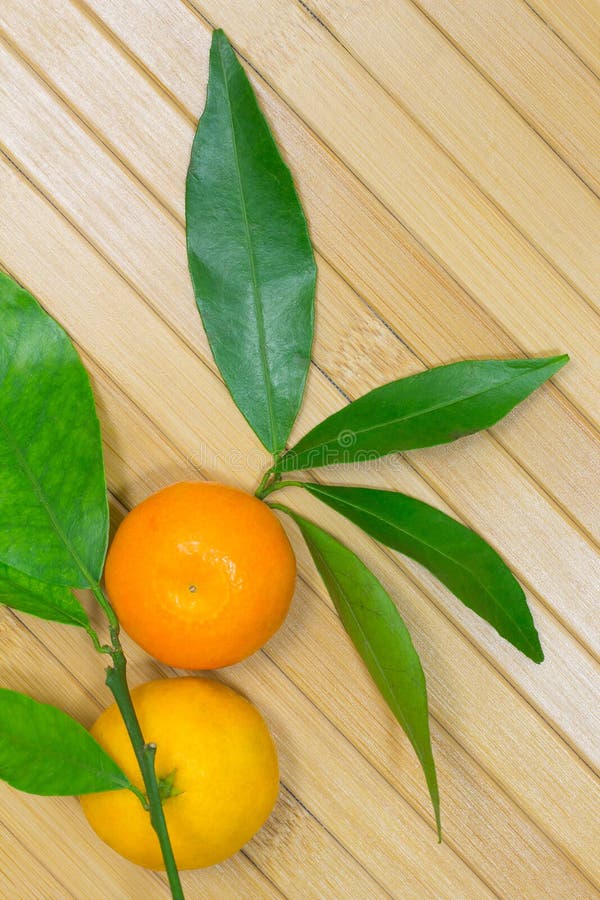 Two Tangerine and Leaves on Light Background Stock Photo - Image of ...