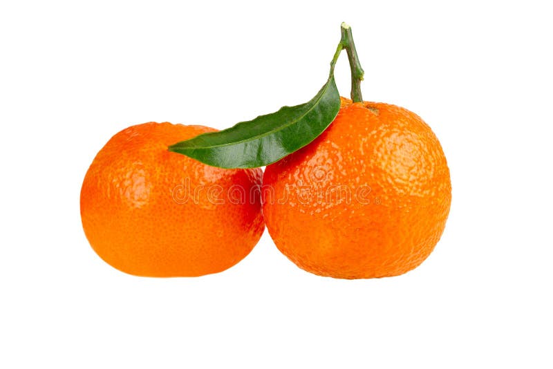 Two Tangerine Mandarin Orange Fruit Isolated on White Stock Photo ...