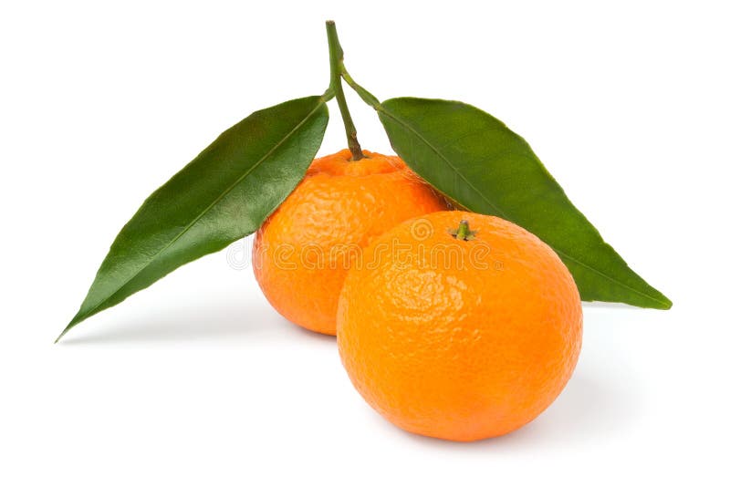 Two tangerines stock image. Image of sweet, leaf, nature - 22206049