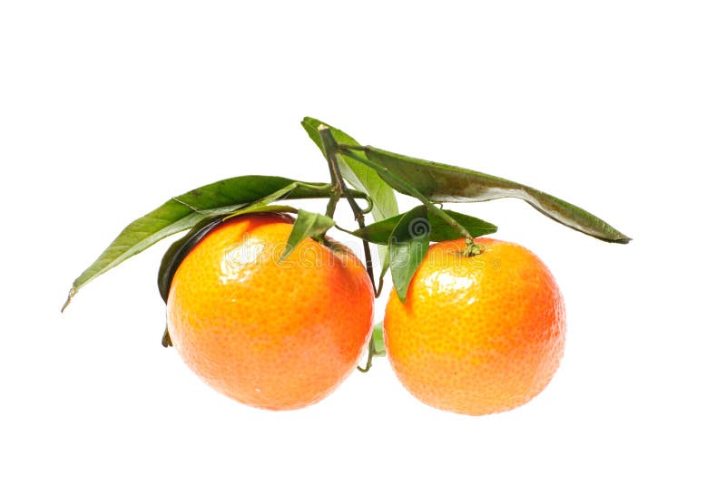 Two tangerines with leaves stock image. Image of freshness - 7097935