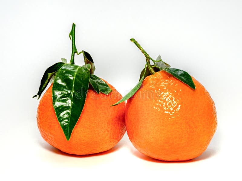 0620 Mandarins with Stem and Leaves Stock Photo - Image of clementine ...