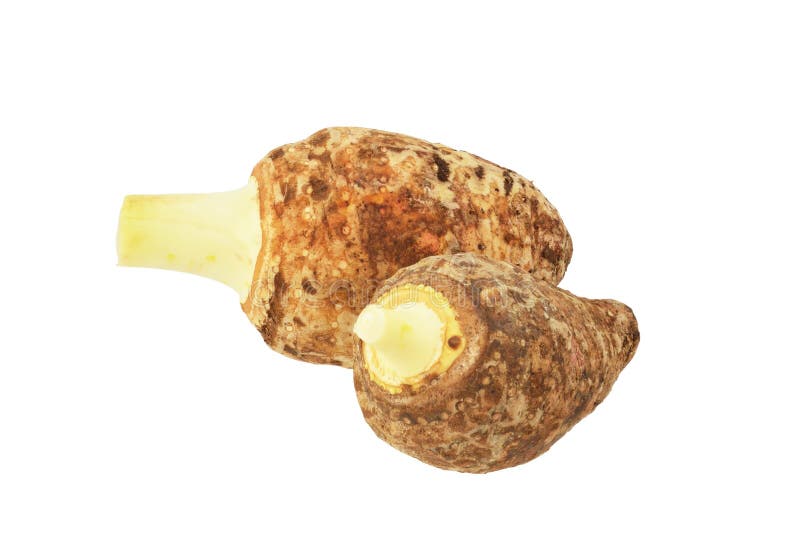 Kolokasi Taro Stock Photos - Free & Royalty-Free Stock Photos from ...