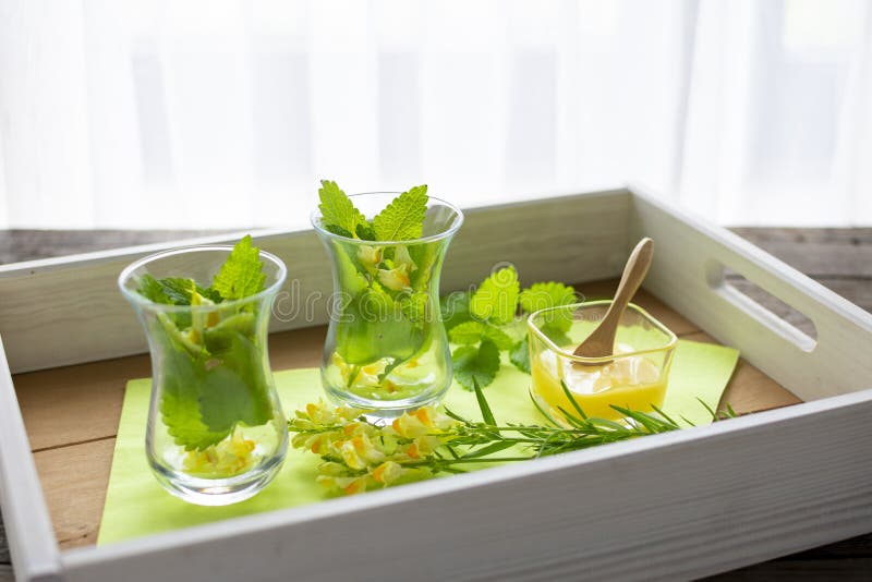 Two Tea Glasses with Lemon Balm and Toadflax Flowers Stock Photo ...