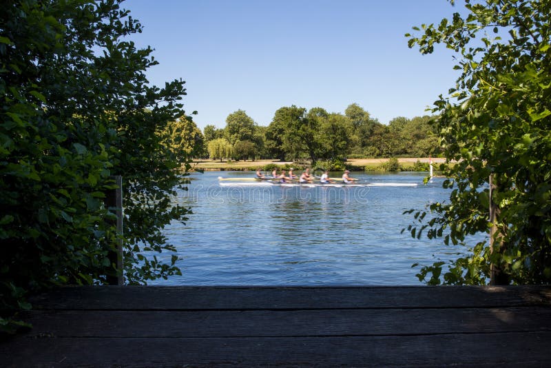 Two Teams of Rowers Racing on River Thames in Henley on Thames I Stock ... Two Teams of Rowers Racing on River Thames in Henley on Thames I Stock ...