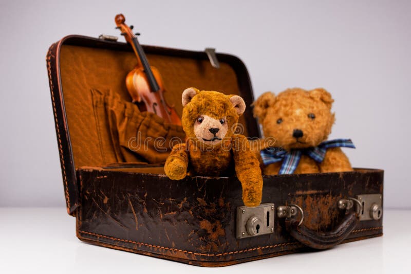 Two Teddies Sitting Inside a Small Vintage Case Stock Photo - Image of ...