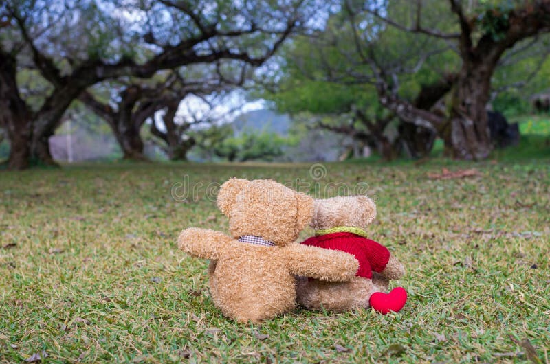 Two TEDDY BEAR Brown Color Sitting on Grass Stock Photo - Image of love ...