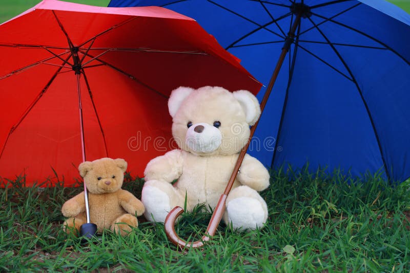 Two teddy bears stock image. Image of bears, teddies - 12121713