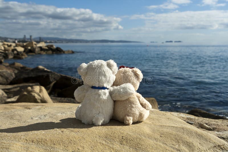 Two Teddy Bears in Front of Sea and Sky Stock Photo - Image of love ...