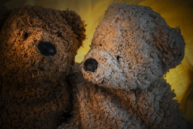 Two Teddy Bears Next To Each Other Stock Image Image Of Happy