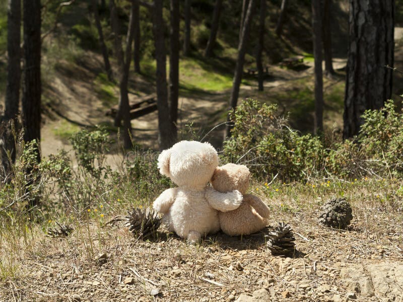 Two Teddy Bears in Pine Forest Stock Photo - Image of relationship ...