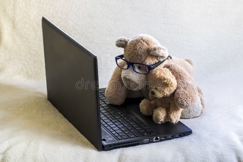 Teddy Bears Computer Stock Photos - Free & Royalty-Free Stock Photos ...