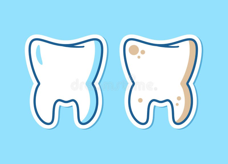 Two teeth vector stock vector. Illustration of health - 107087236