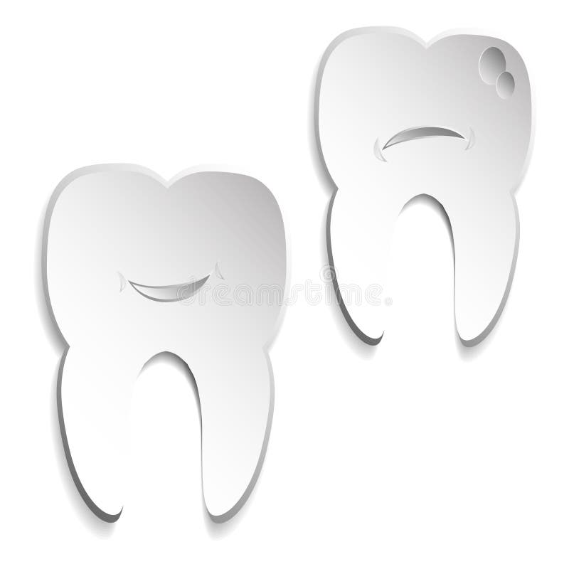 Two Teeth on a White Background Stock Vector - Illustration of gingival ...