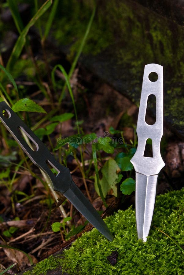 Two throwing knives stock image. Image of outdoors, moss - 20951277
