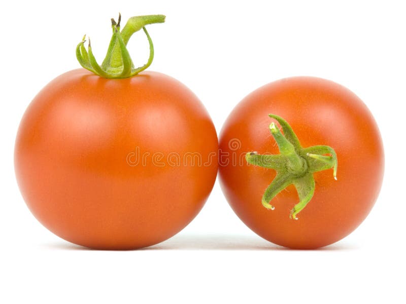 Two Tomatoes stock image. Image of fruit, background - 11043821