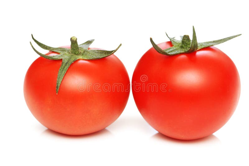 Two tomatoes isolated stock image. Image of food, isolated - 2579181