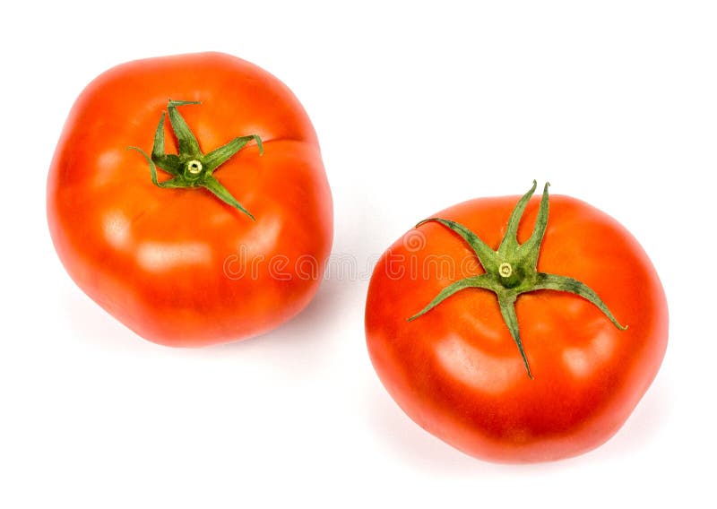Two Tomatoes Isolated on a White Background Stock Photo - Image of ...
