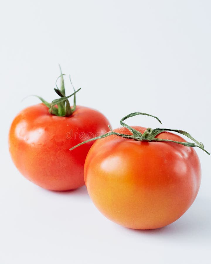 Two Tomatoes Isolated on a White Background Stock Photo - Image of ...