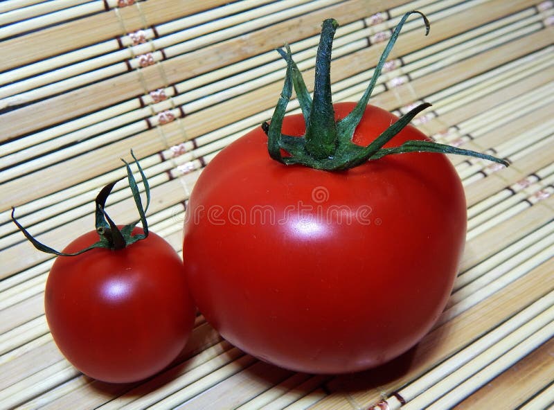 Two Tomatoes Large and Small on a Wooden Napkin Stock Photo - Image of ...