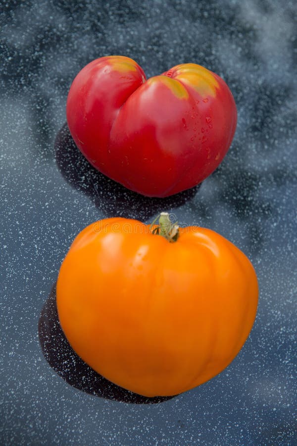 Two Tomatoes in Shape of Heart on Gray Background. Stock Photo - Image ...