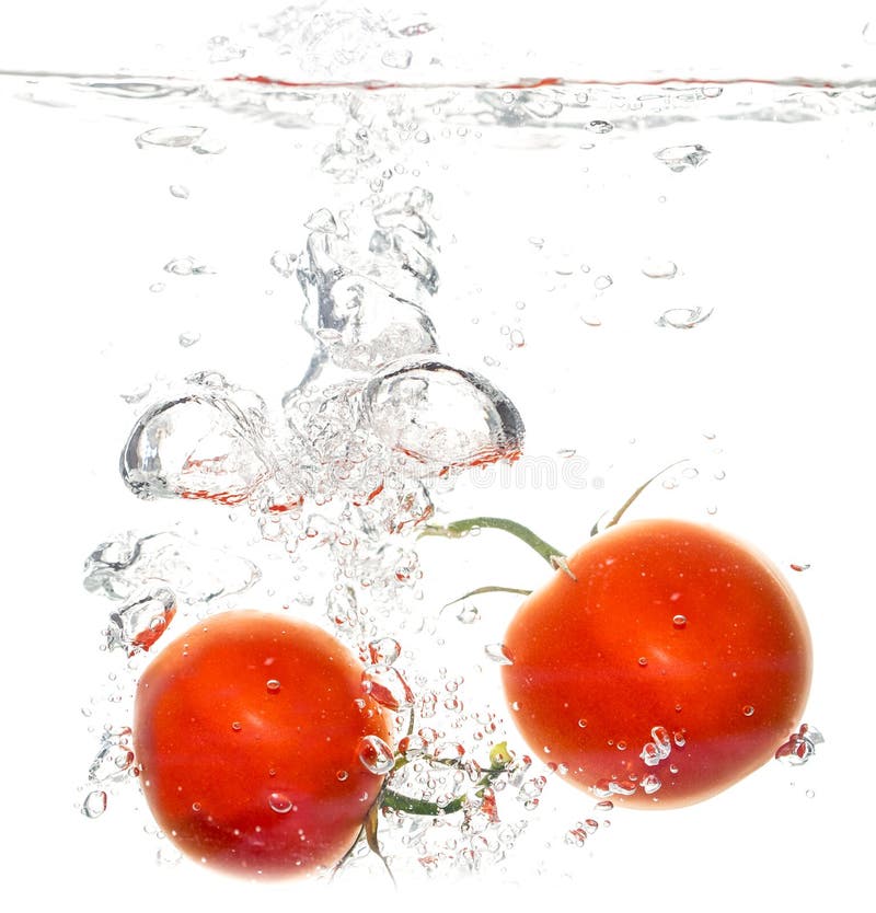 Two Tomatoes Under Water on a White Background Stock Photo - Image of ...