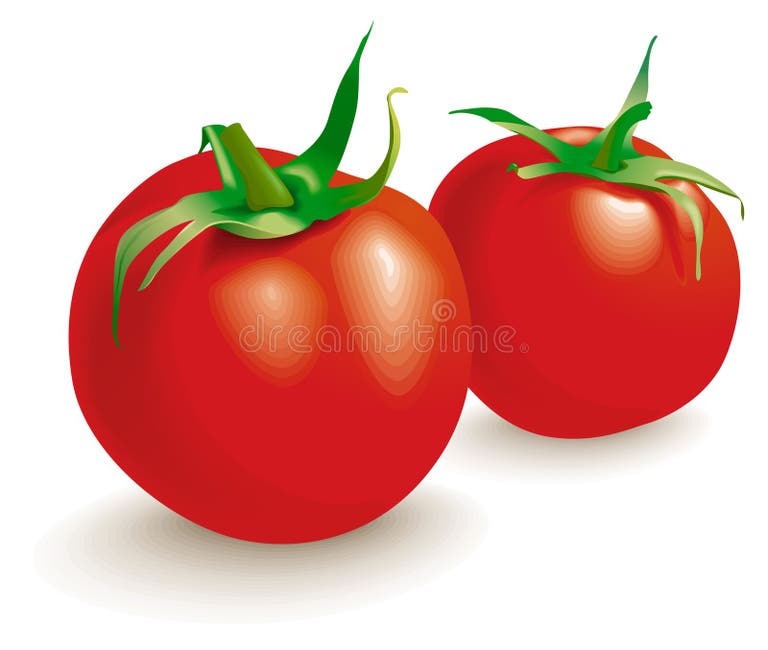 Two Tomatoes Vegetables.Vector Stock Vector - Illustration of green ...
