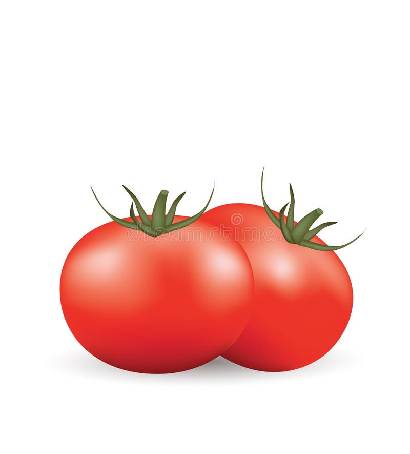 Two Tomatoes Stock Illustrations – 800 Two Tomatoes Stock Illustrations ...