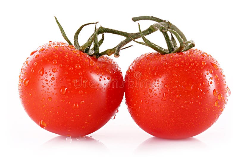 Two tomatos isolated stock image. Image of healthy, tomatoes - 14537235