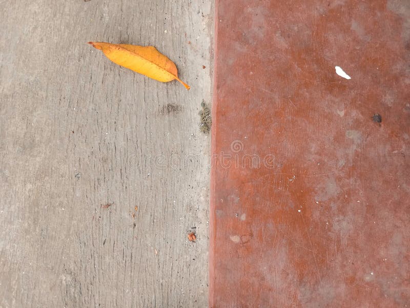 Two Tone Color with Single Leave Stock Image - Image of single, tone ...