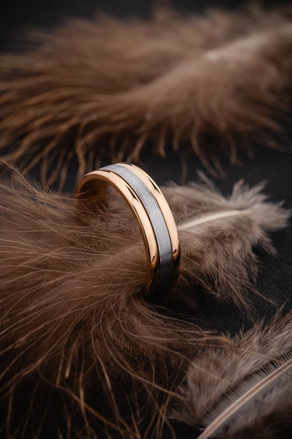 2,199 Tone Feathers Stock Photos - Free & Royalty-Free Stock Photos ...