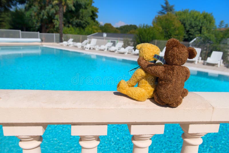 Two Toy Bears in Love at Swimming Pool Stock Image - Image of bears ...